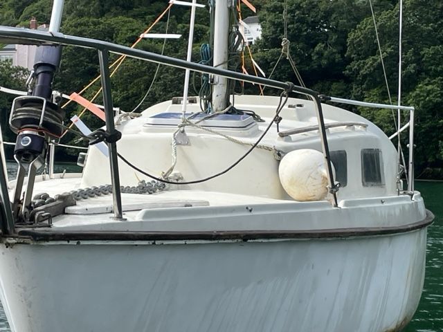 Free Sailboat Daimio 23