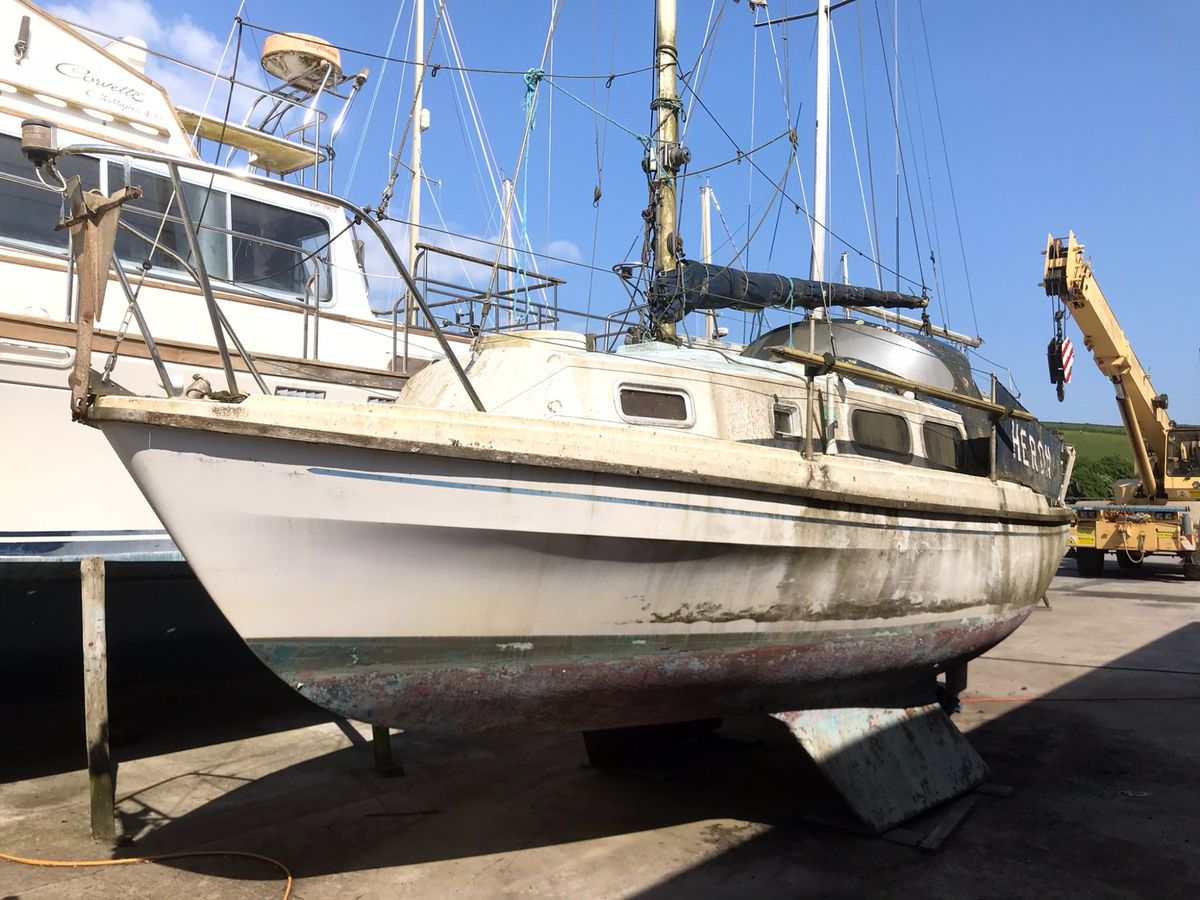 Free Westerly Pageant