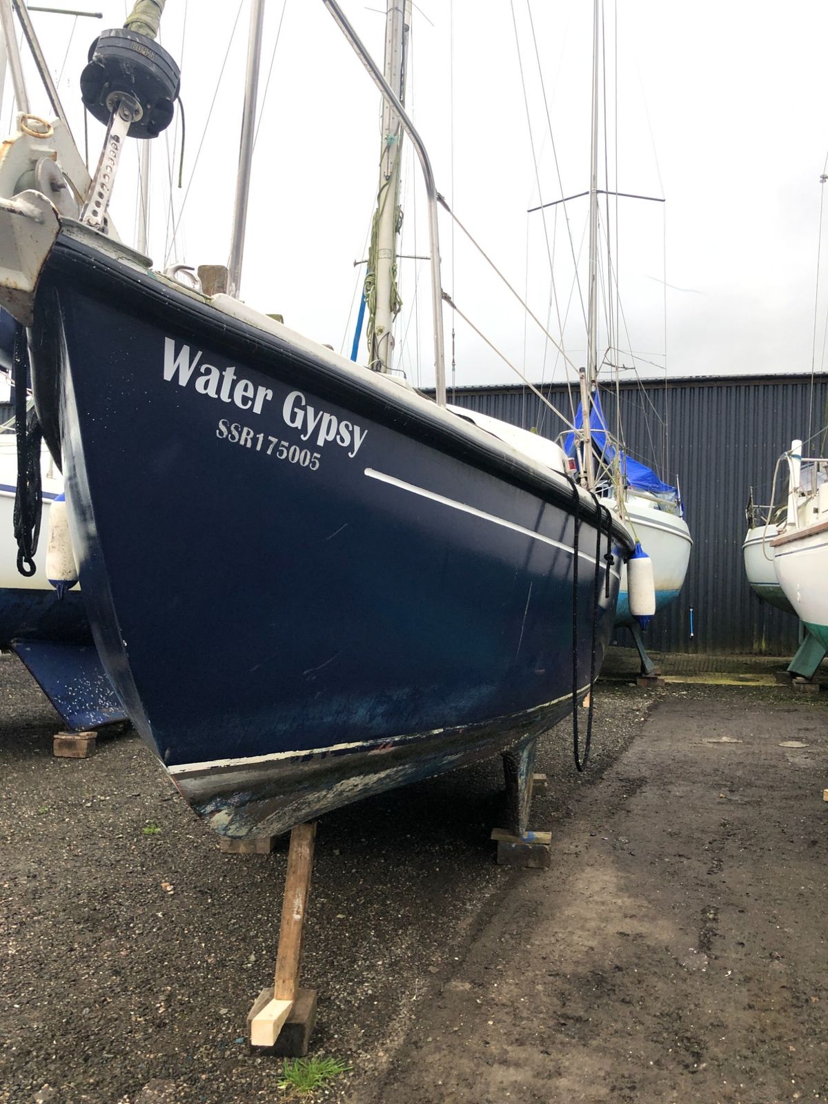 Snapdragon 26 'Watergypsy'